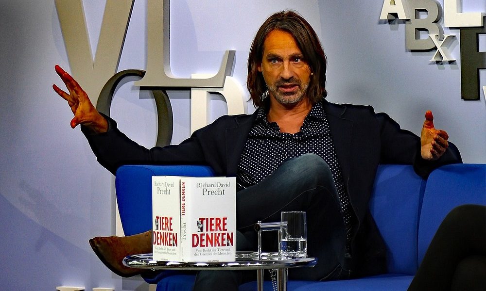 Star-Philosoph Richard David Precht - Früher ließ er lieber die Fäuste ...